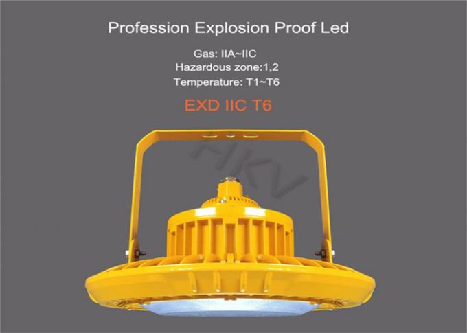 EXD IIC T6 Industrial Industrial High Bay LEDLights 50W Low Energy