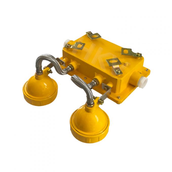 Industrial 12v Rechargeable Explosion Proof Emergency Light With 2 Heads